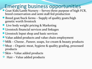 Rural entrepreneurship in small livestock value chain: Opportunities ...