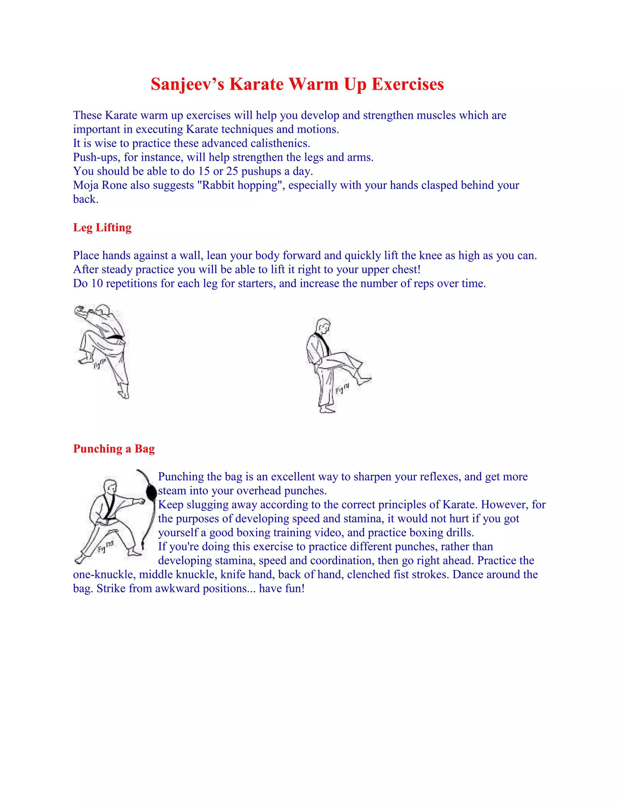 Sanjeev s karate warm up exercises | DOCX