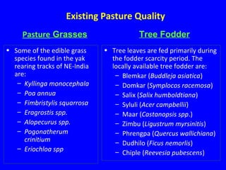 Sanjit nrc yak | PPT