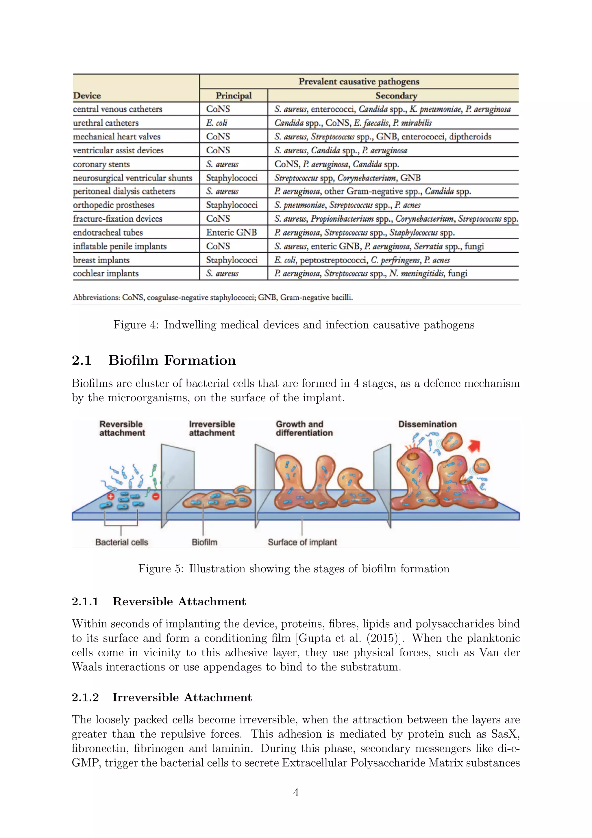 Influence of Biofilm on Medical Devices | PDF