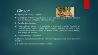 Resins Pharmacognosy-II | PPTX