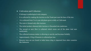 Resins Pharmacognosy-II | PPTX