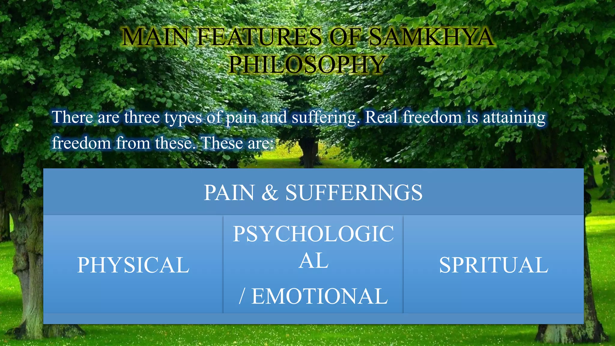 Sankhya philosophy | PDF