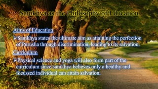 Sankhya philosophy | PDF