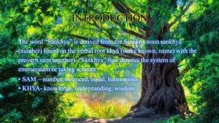 Sankhya philosophy | PDF