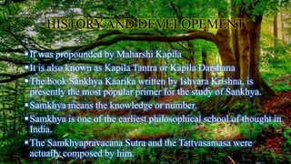 Sankhya philosophy | PDF