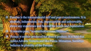 Sankhya philosophy | PDF