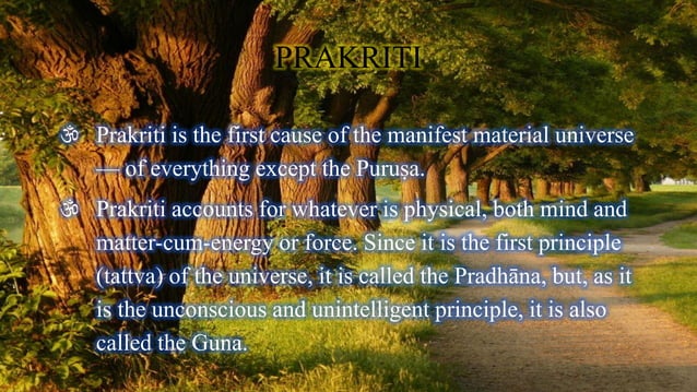 Sankhya philosophy | PDF