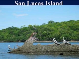 San lucas island | PPT