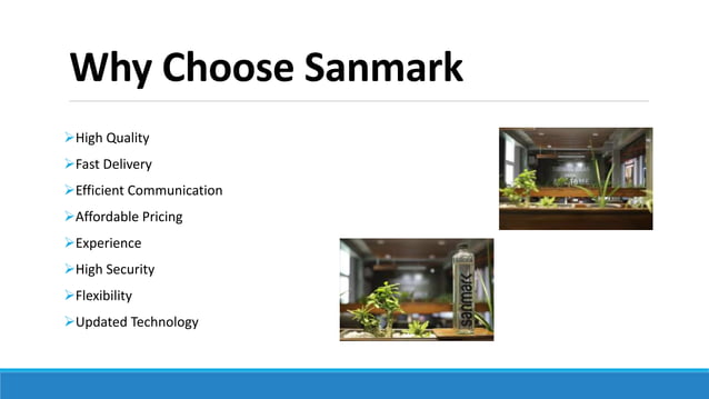 Sanmark solutions Your Software Development Partner | PPT