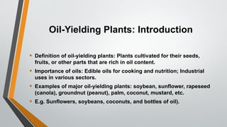 Oil Yielding Plants that includes Mustard and Coconut.pptx