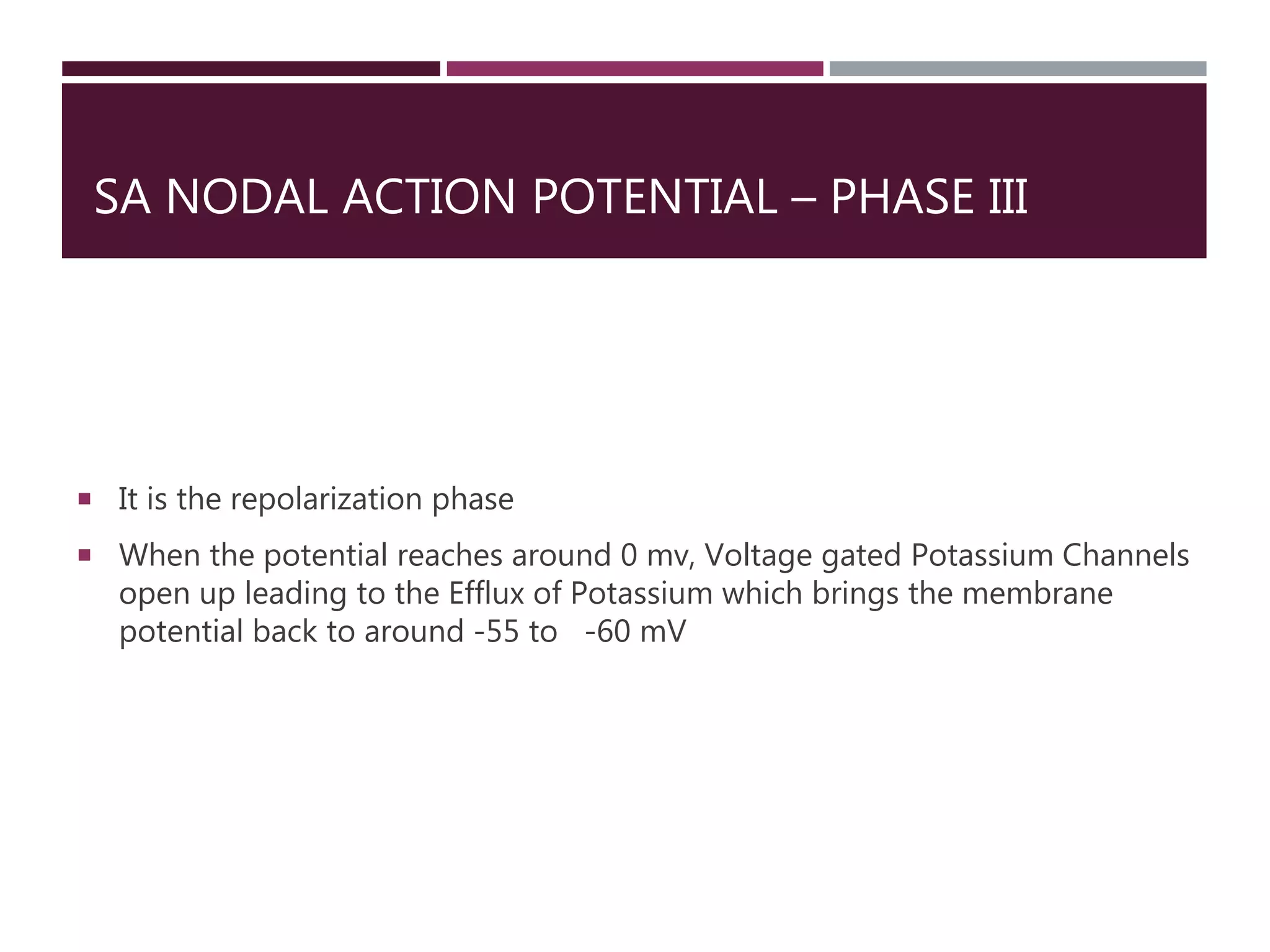 Sa nodal action potential, conducting system of heart and spread of ...
