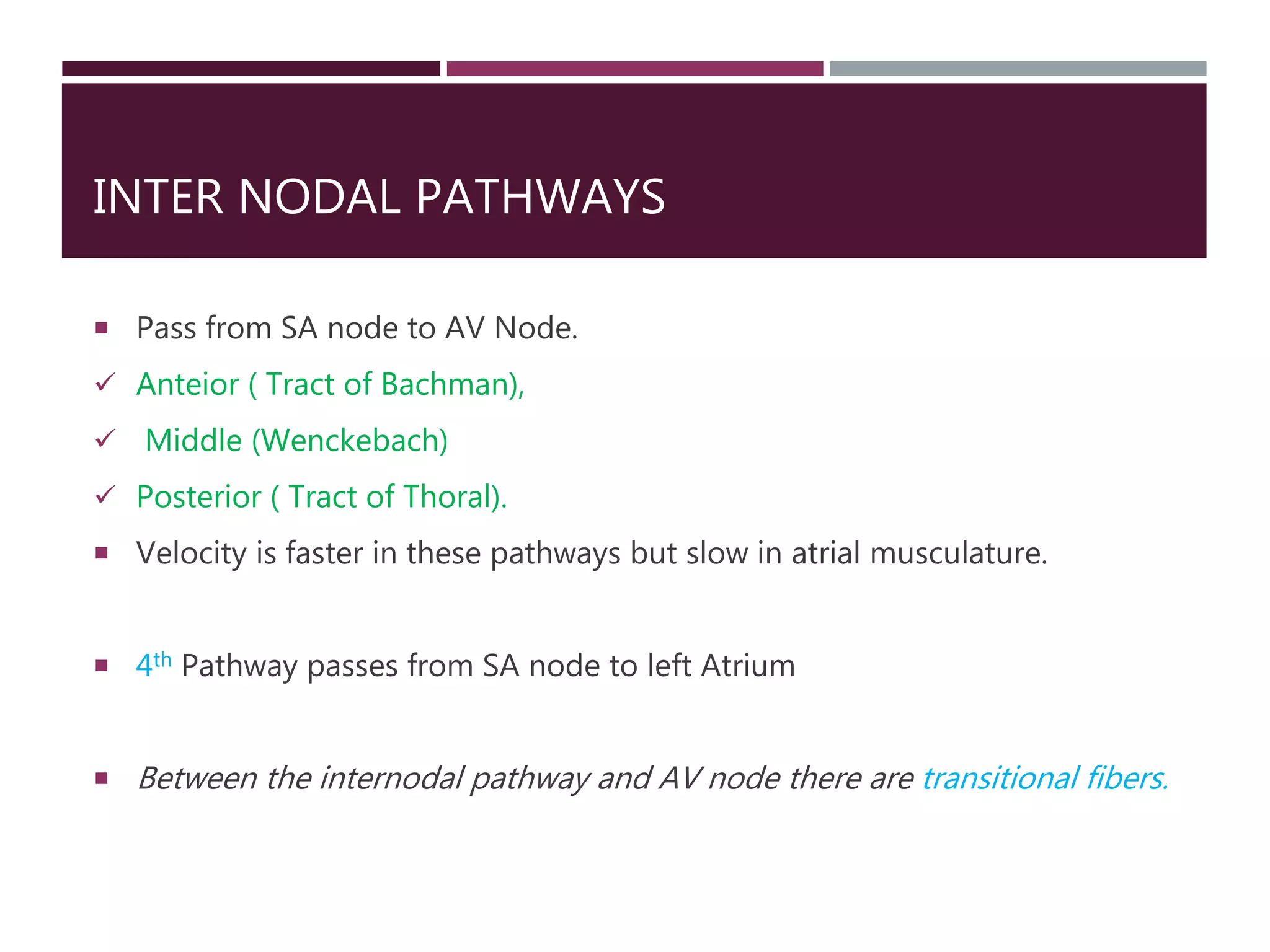 Sa nodal action potential, conducting system of heart and spread of ...