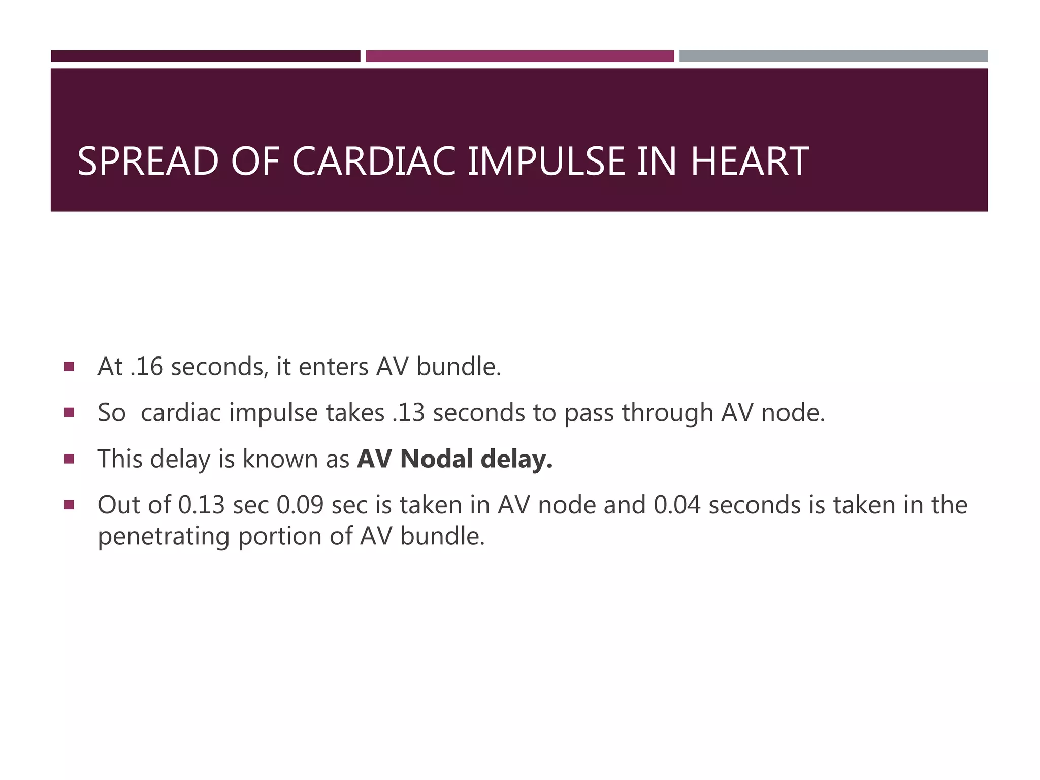 Sa nodal action potential, conducting system of heart and spread of ...