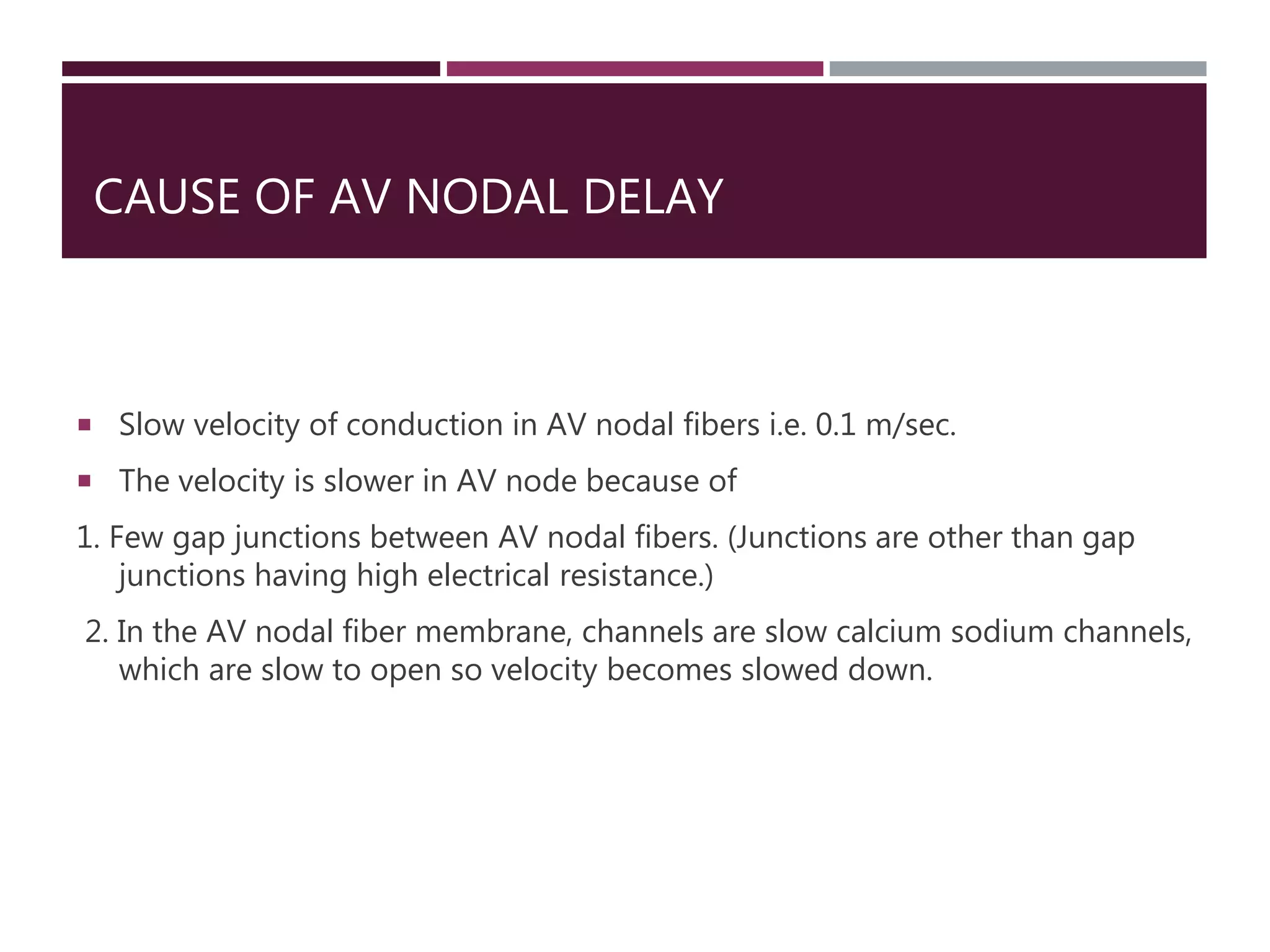 Sa nodal action potential, conducting system of heart and spread of cardiac impulse | PPTX