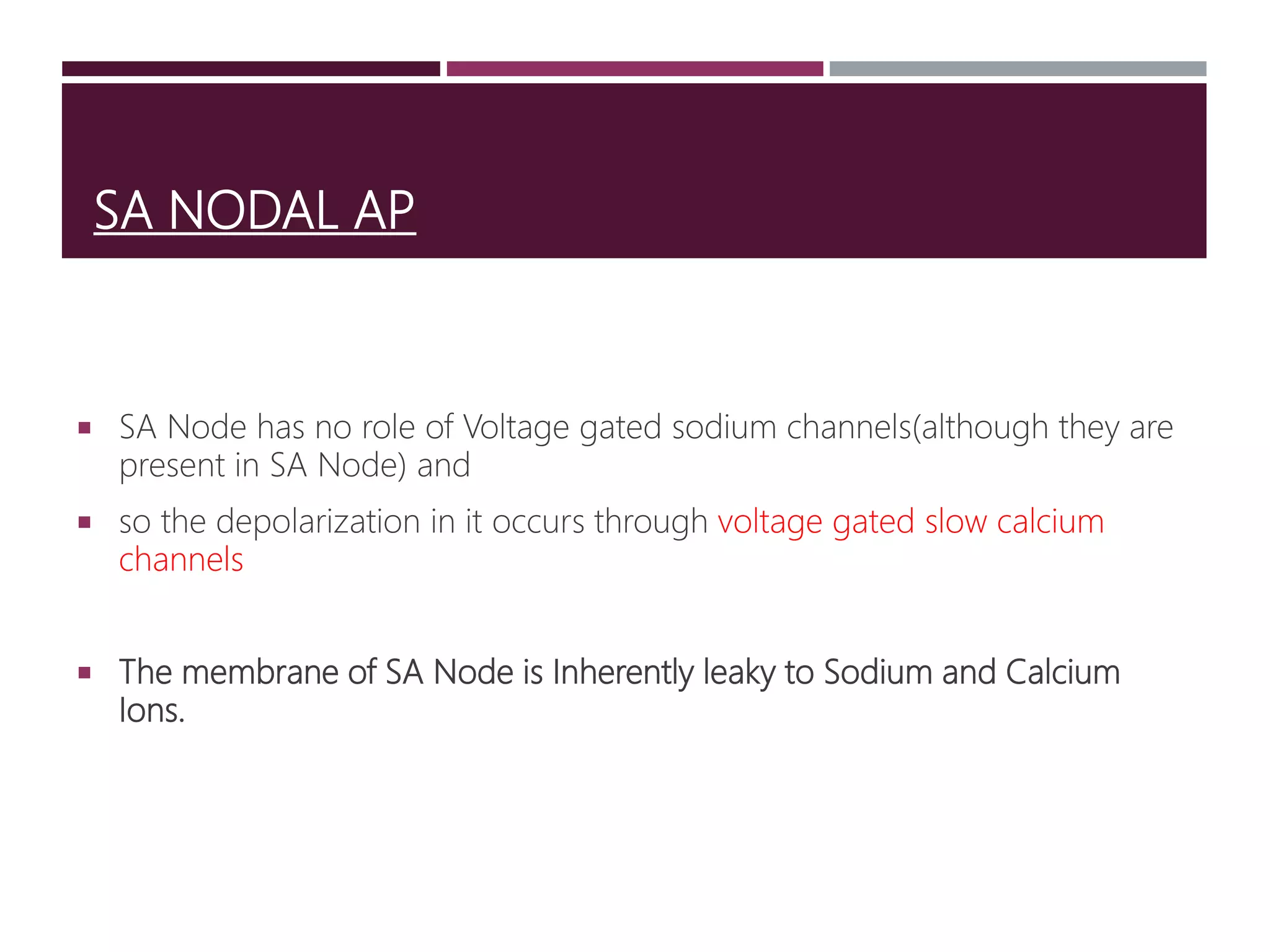 Sa nodal action potential, conducting system of heart and spread of ...