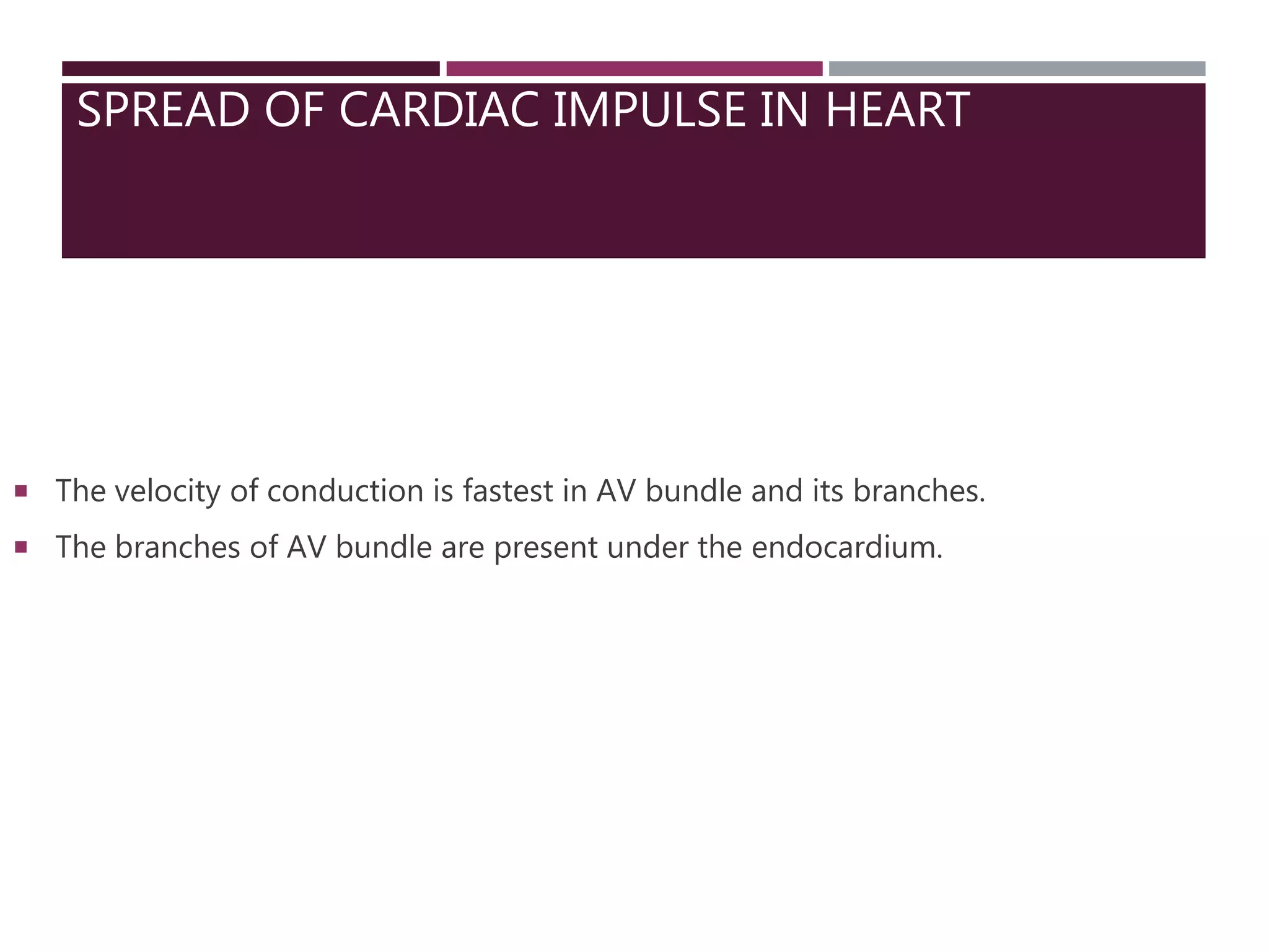 Sa nodal action potential, conducting system of heart and spread of ...