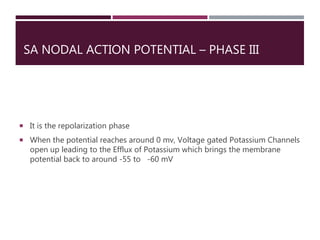 Sa nodal action potential, conducting system of heart and spread of cardiac impulse | PPTX