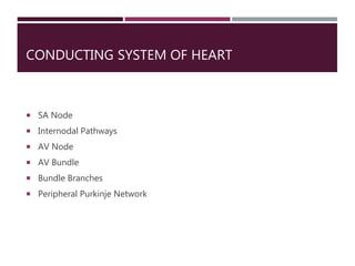 Sa nodal action potential, conducting system of heart and spread of ...