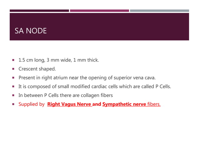 Sa nodal action potential, conducting system of heart and spread of ...