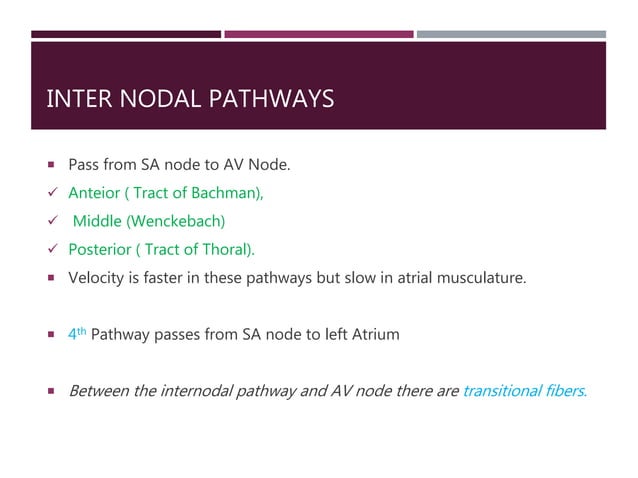 Sa nodal action potential, conducting system of heart and spread of ...