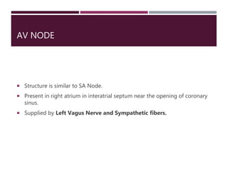 Sa nodal action potential, conducting system of heart and spread of ...