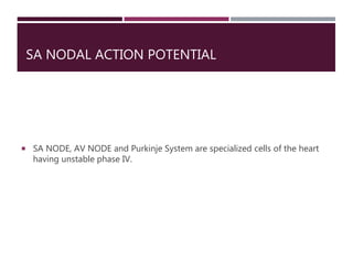 Sa nodal action potential, conducting system of heart and spread of ...