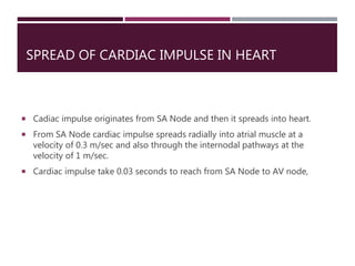 Sa nodal action potential, conducting system of heart and spread of ...