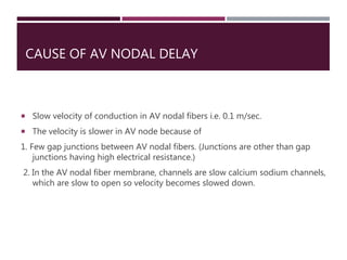 Sa nodal action potential, conducting system of heart and spread of ...