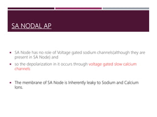 Sa nodal action potential, conducting system of heart and spread of ...