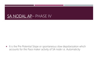 Sa nodal action potential, conducting system of heart and spread of ...