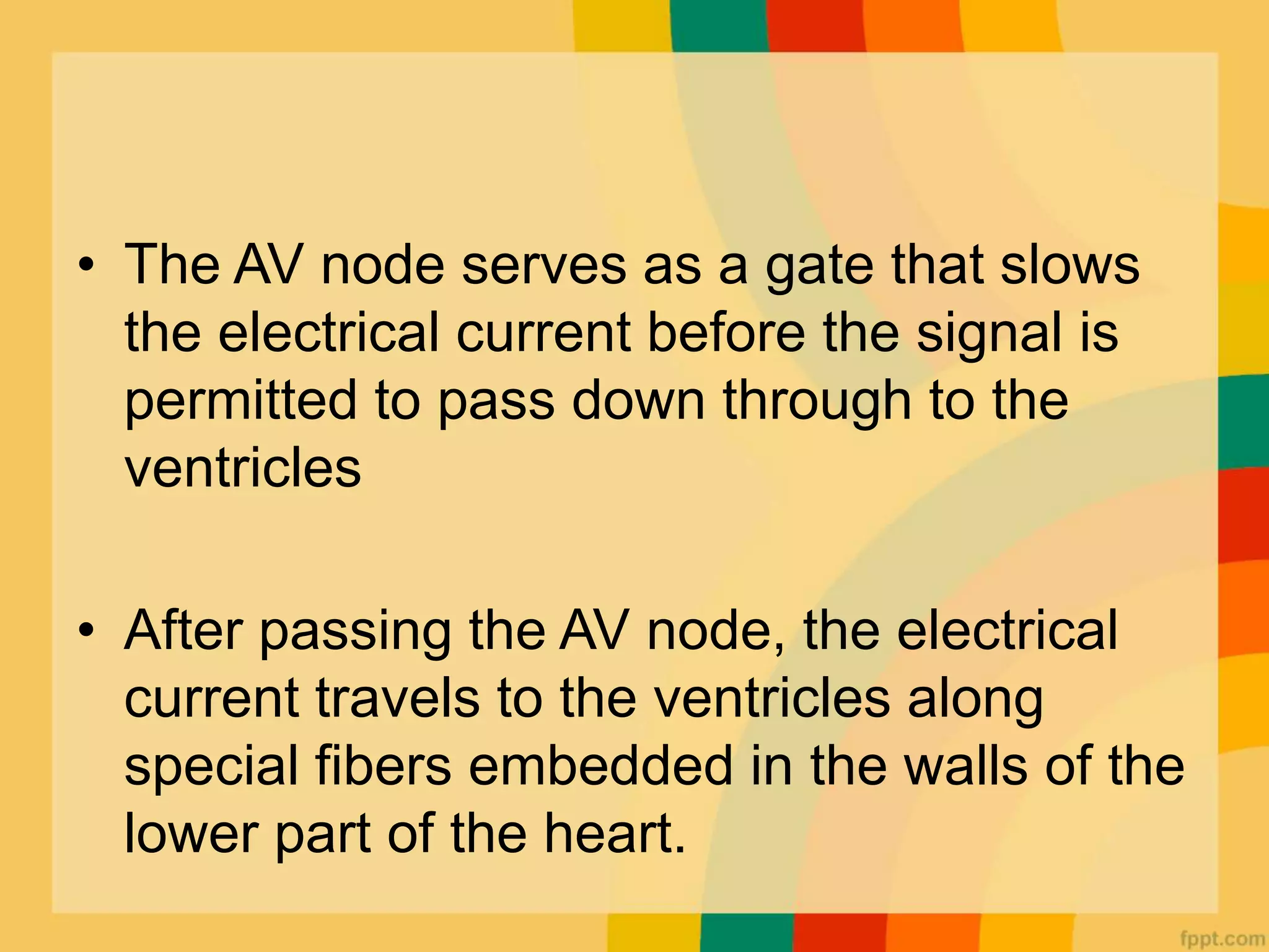 SINOATRIAL NODE | PPTX
