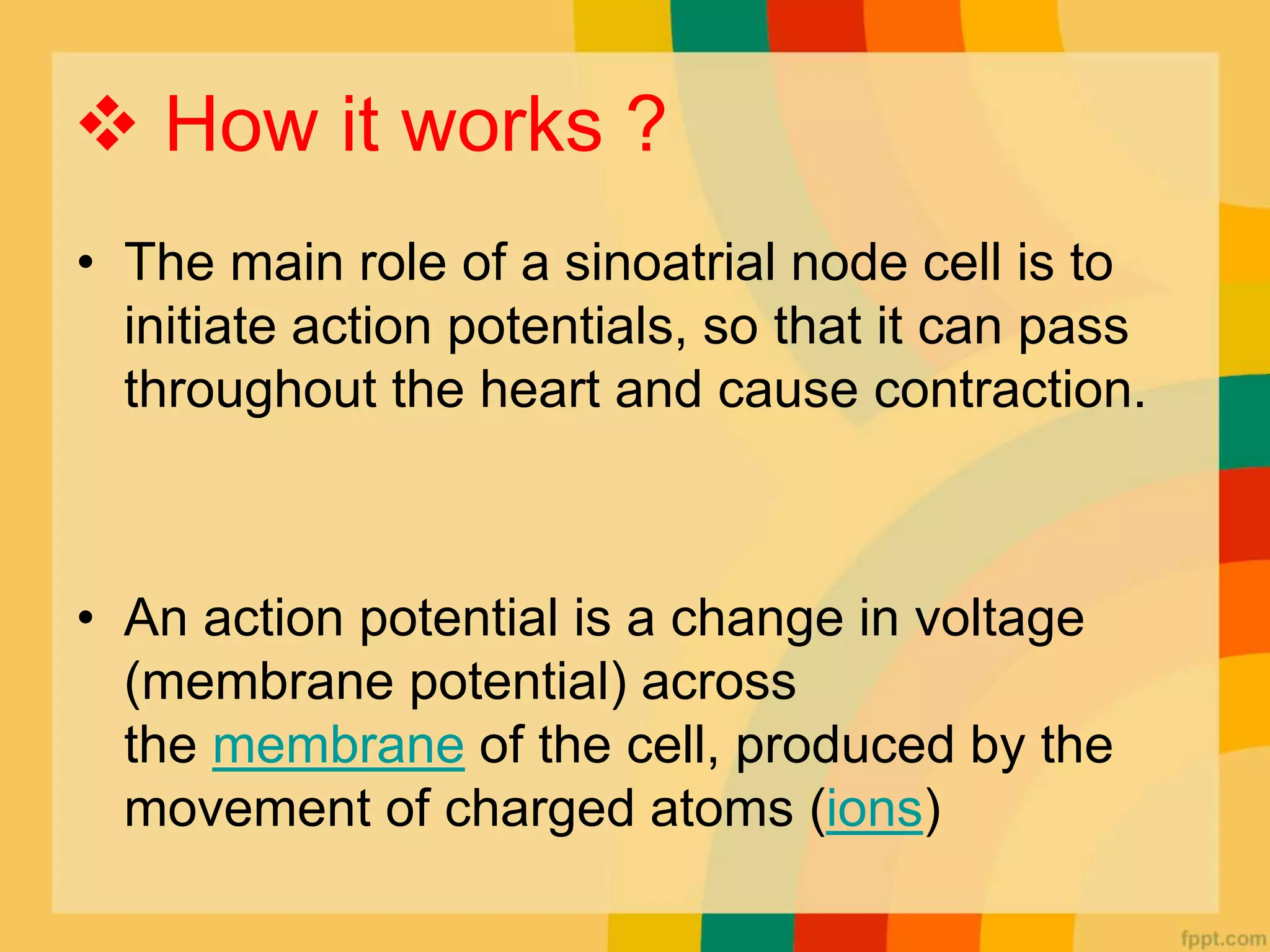 SINOATRIAL NODE | PPTX