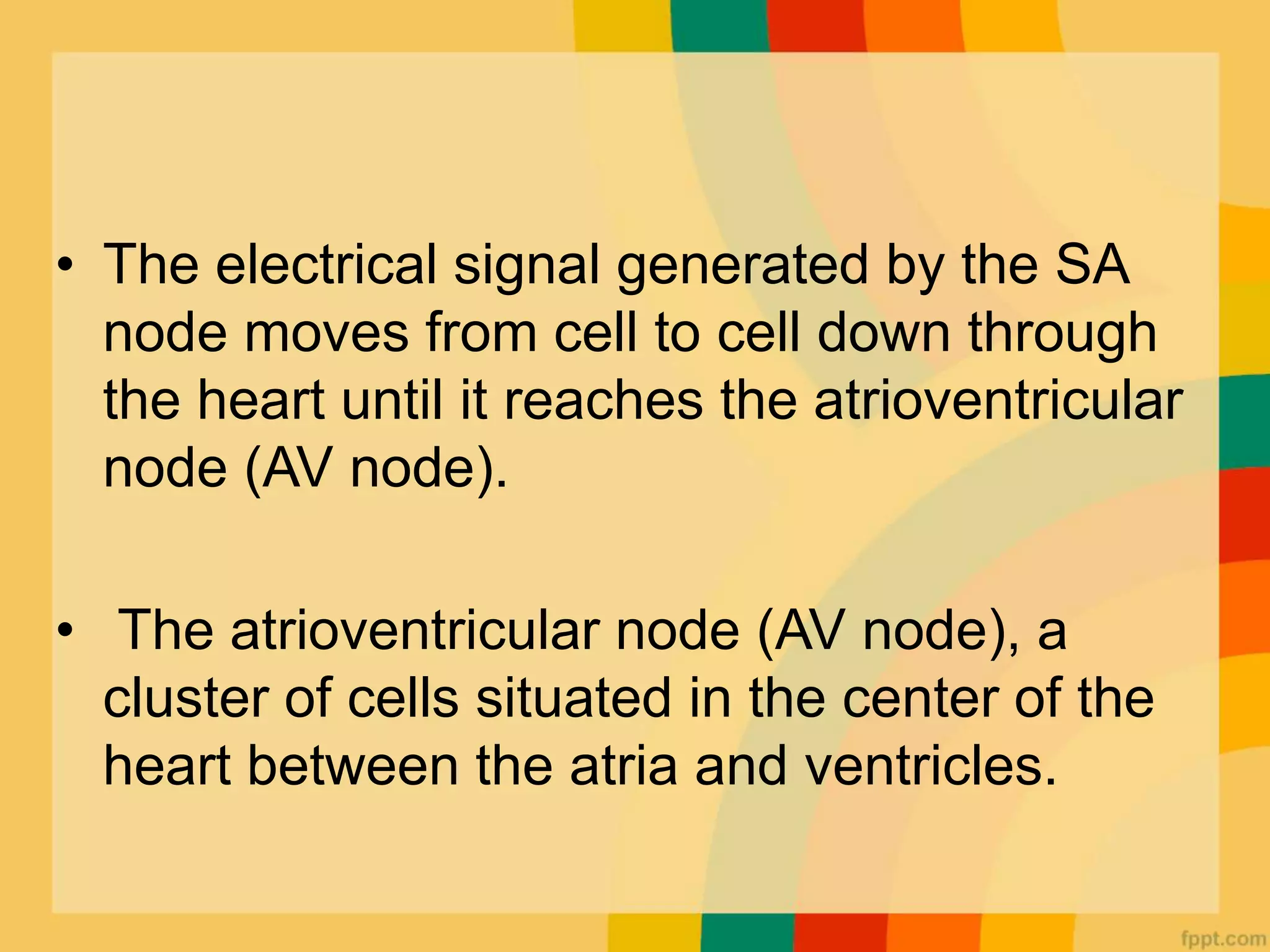 SINOATRIAL NODE | PPTX