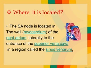 SINOATRIAL NODE | PPTX