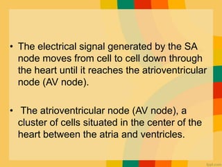 SINOATRIAL NODE | PPTX