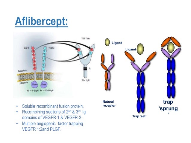 evolving role of anti angiogenesis in metastatic crc