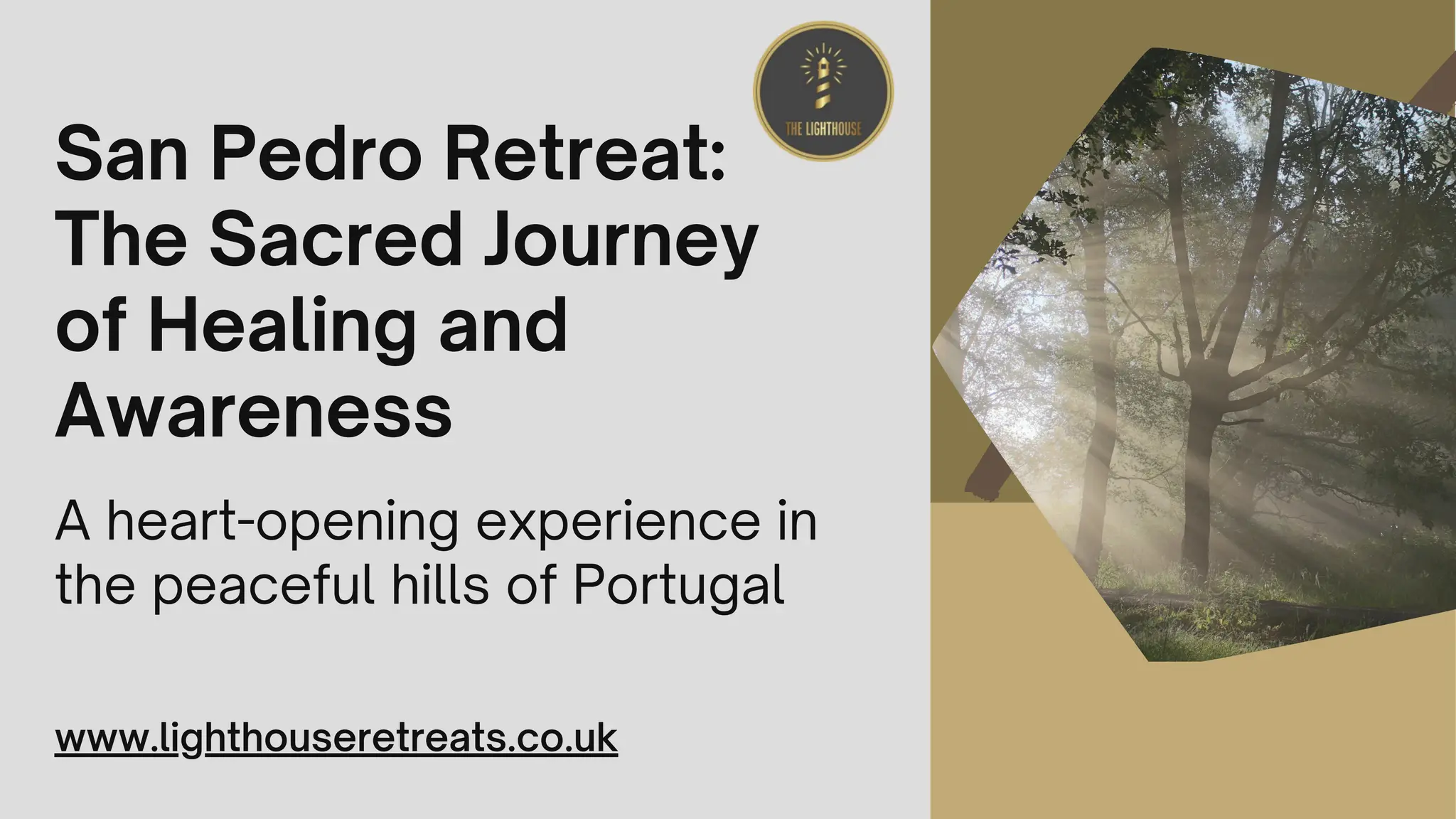 San Pedro Retreat: The Sacred Journey of Healing and Awareness | PDF