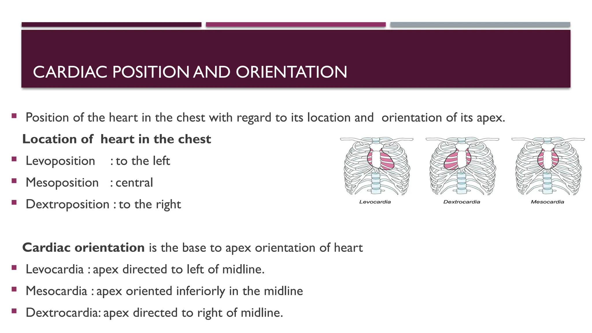 SEGMENTAL ANALYSIS of cardiac defects ppt | PPTX