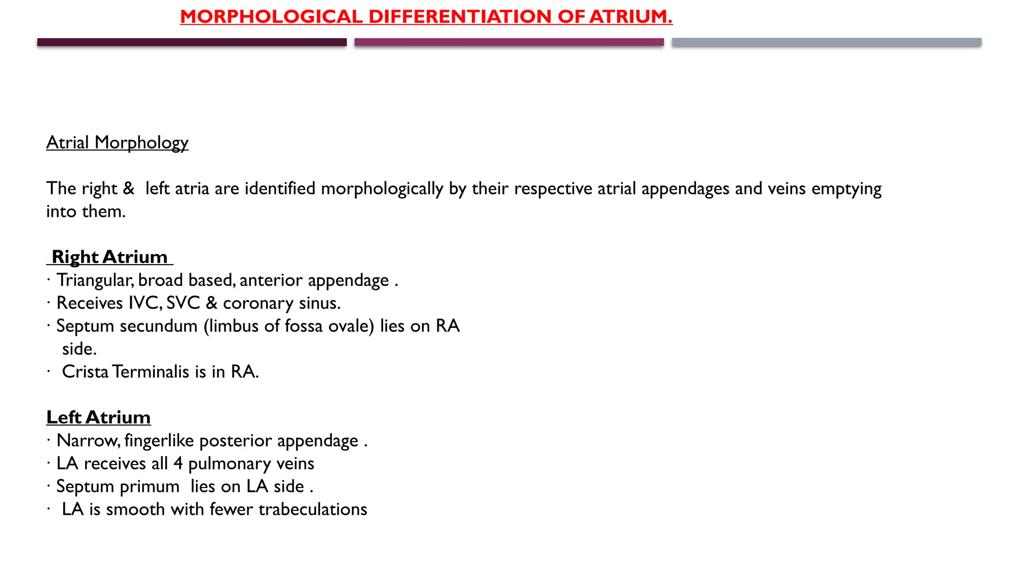 SEGMENTAL ANALYSIS of cardiac defects ppt | PPTX