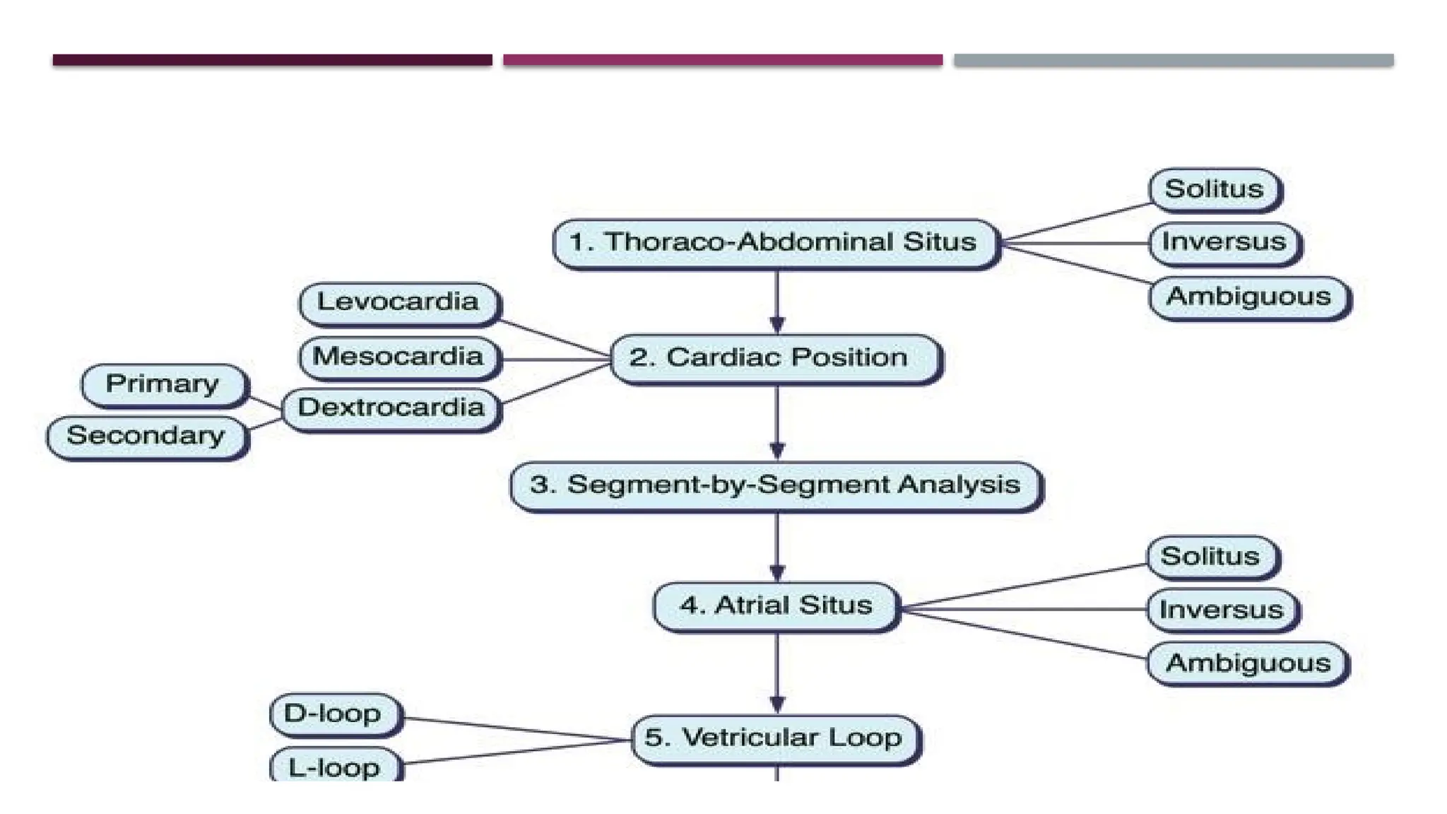 SEGMENTAL ANALYSIS of cardiac defects ppt | PPTX