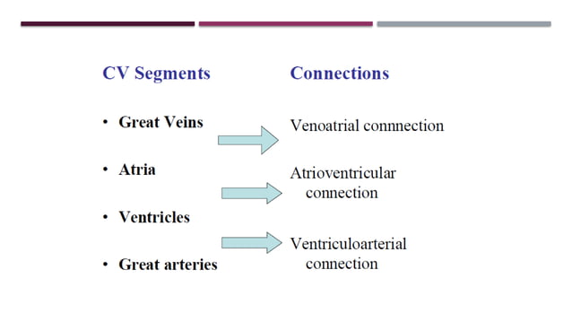SEGMENTAL ANALYSIS of cardiac defects ppt | PPTX | Heart and ...
