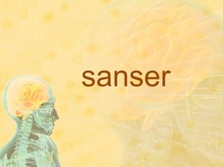 Sanser | PPT