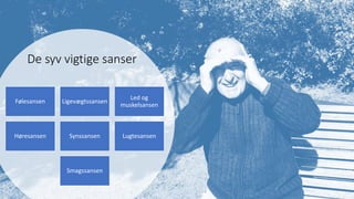 Sansestimulering i primærsektoren | PPTX