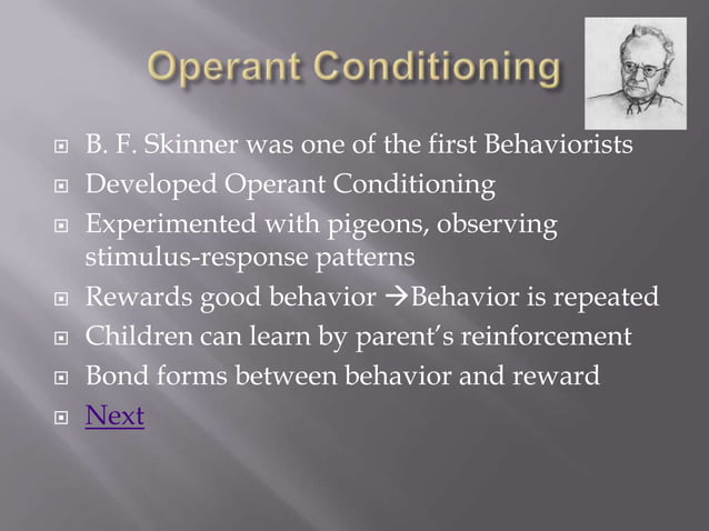 Behaviorism Theory | PPTX