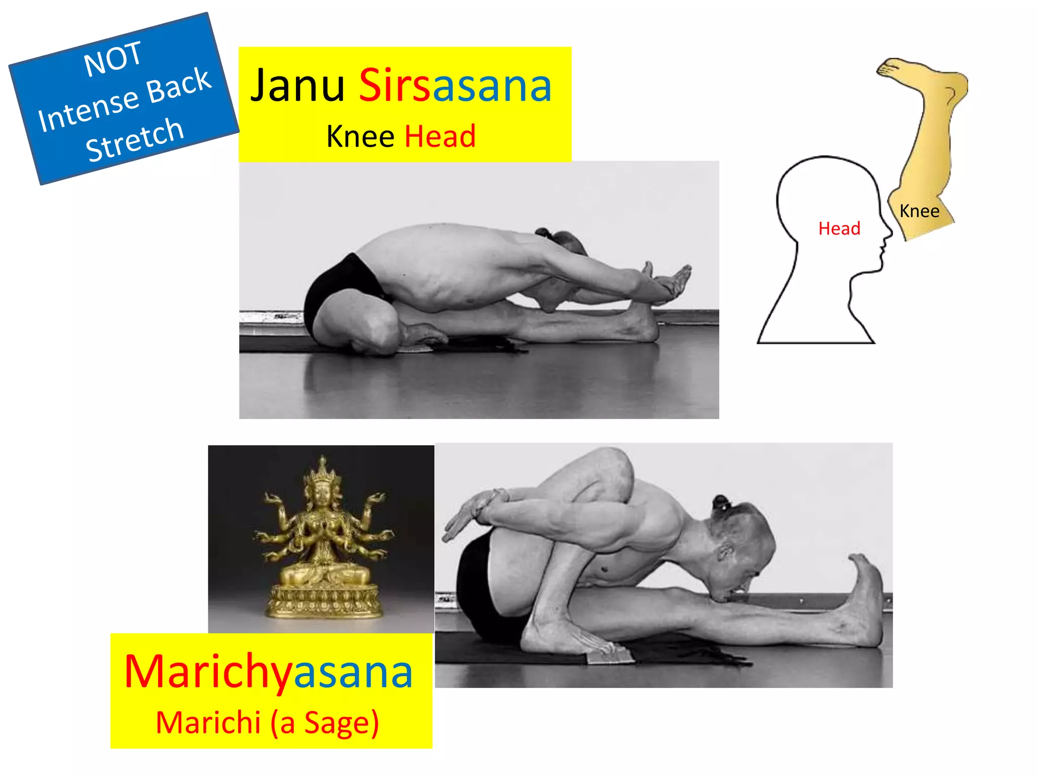 Sanskrit Ashtanga Asana Names (Primary Series) | PPTX