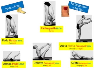 Sanskrit Ashtanga Asana Names (Primary Series) | PPTX