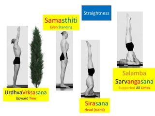 Sanskrit Ashtanga Asana Names (Primary Series) | PPTX