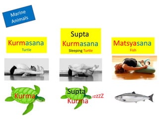 Sanskrit Ashtanga Asana Names (Primary Series) | PPTX
