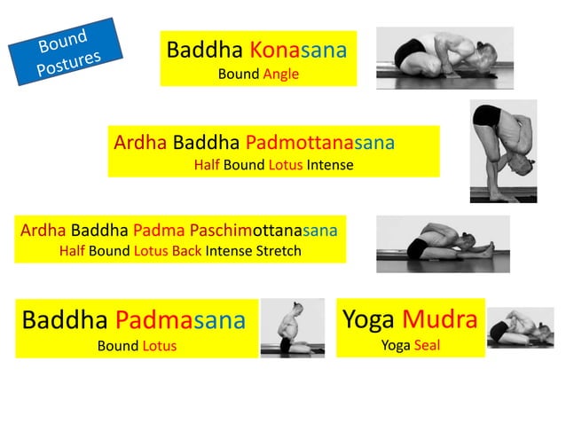 Sanskrit Ashtanga Asana Names (Primary Series) | PPTX